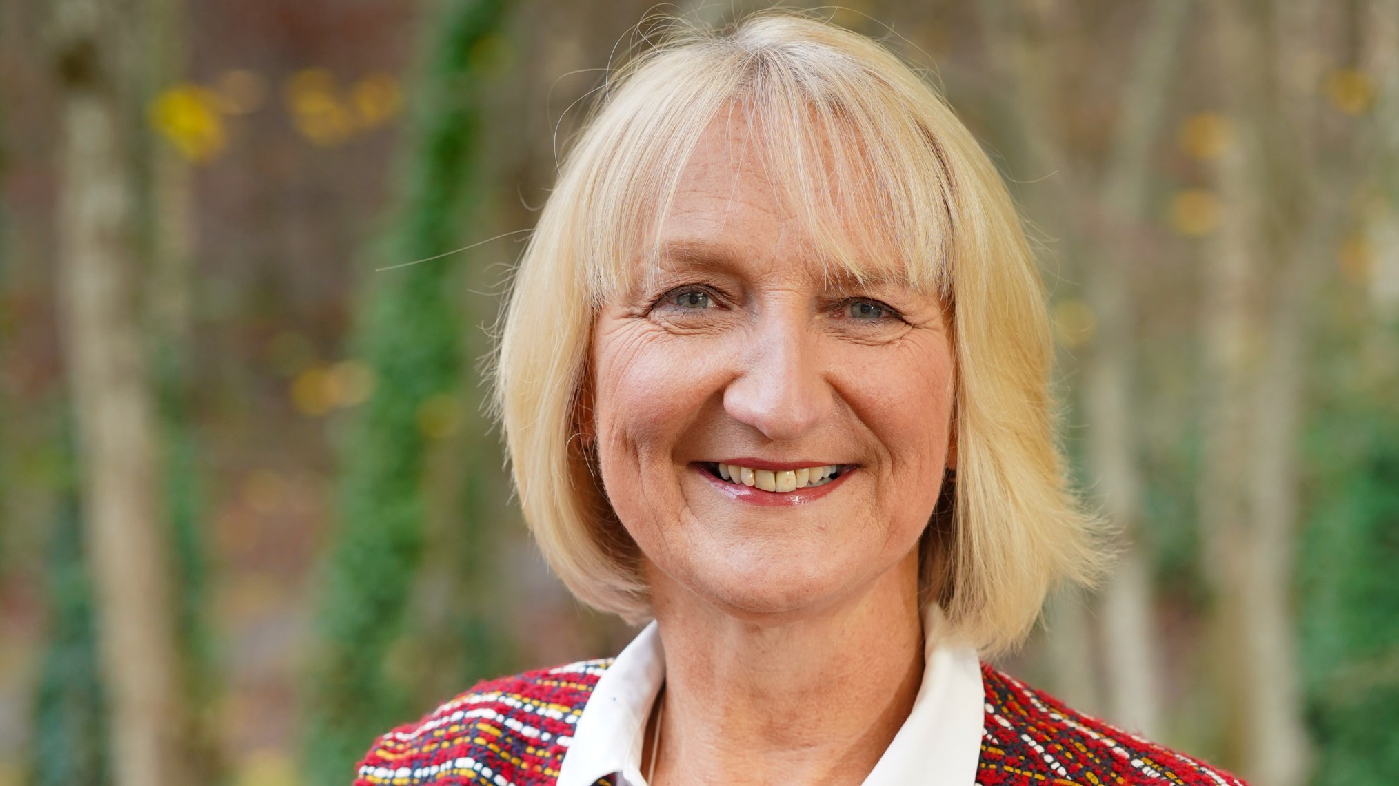 Reappointment of Chief Inspector of Criminal Justice announced ...