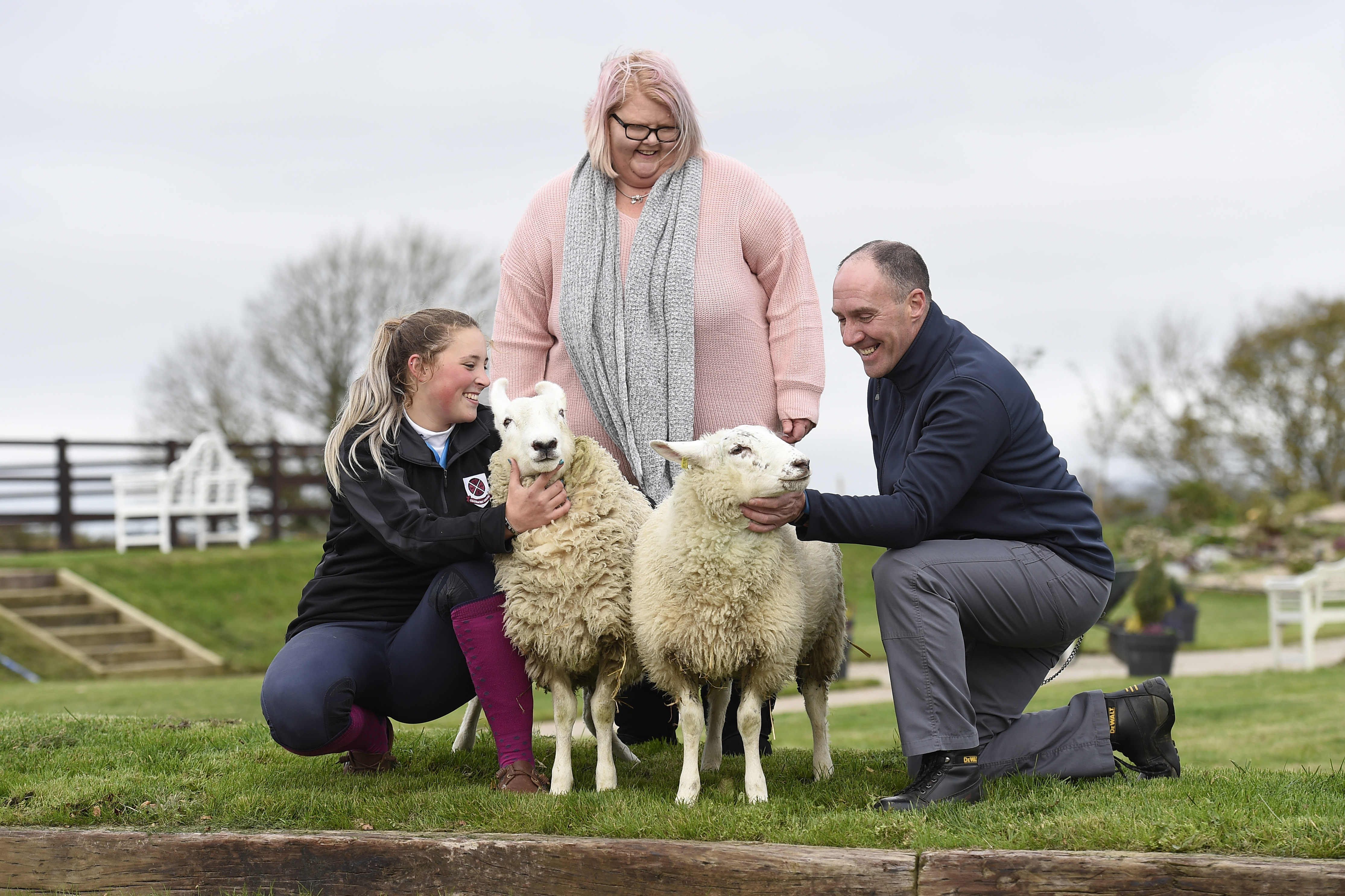 Hydebank Wood College pets lambs released to work with animal therapy ...