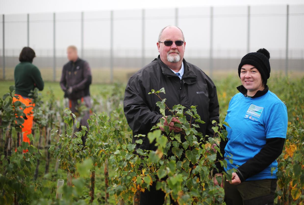 Magilligan Prison tree nursery locked into protecting Irish woodland ...